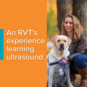 Learning Ultrasound as an RVT, a first hand account – Antech Canada Limited